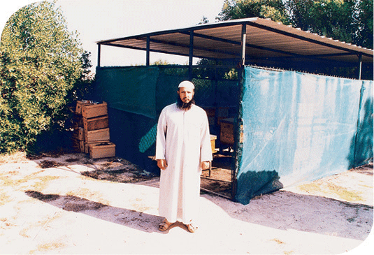 Bees and Bee Keeping in Kuwait « Here There and Everywhere